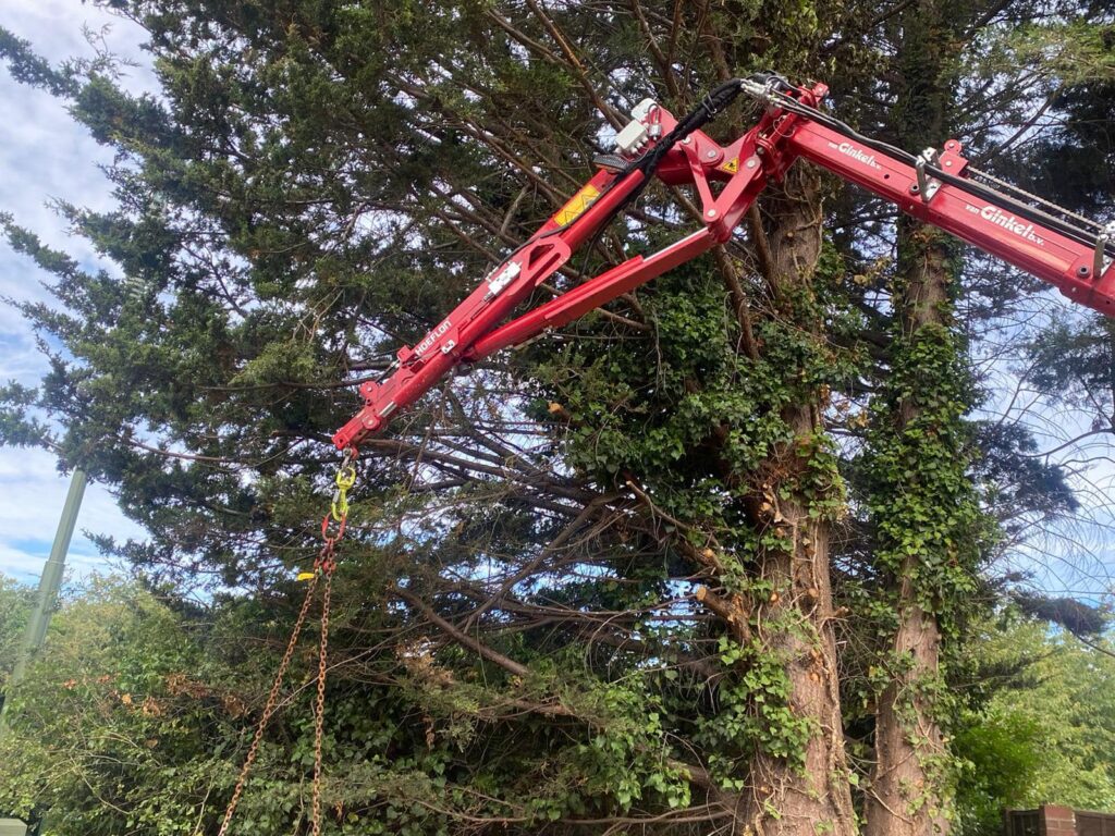 Spider Crane Hire | Kent - DTS Lifting